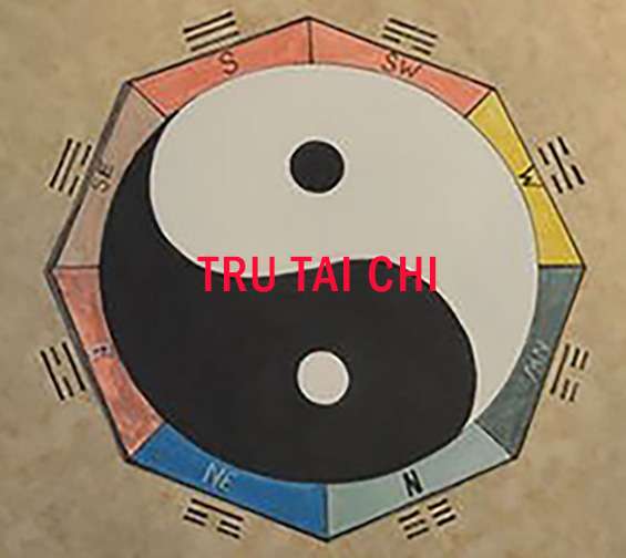 Baguazhang – 8 Trigram Palm - Tru Tai Chi